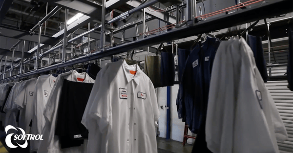 Plant Productivity with Hybrid Sort System